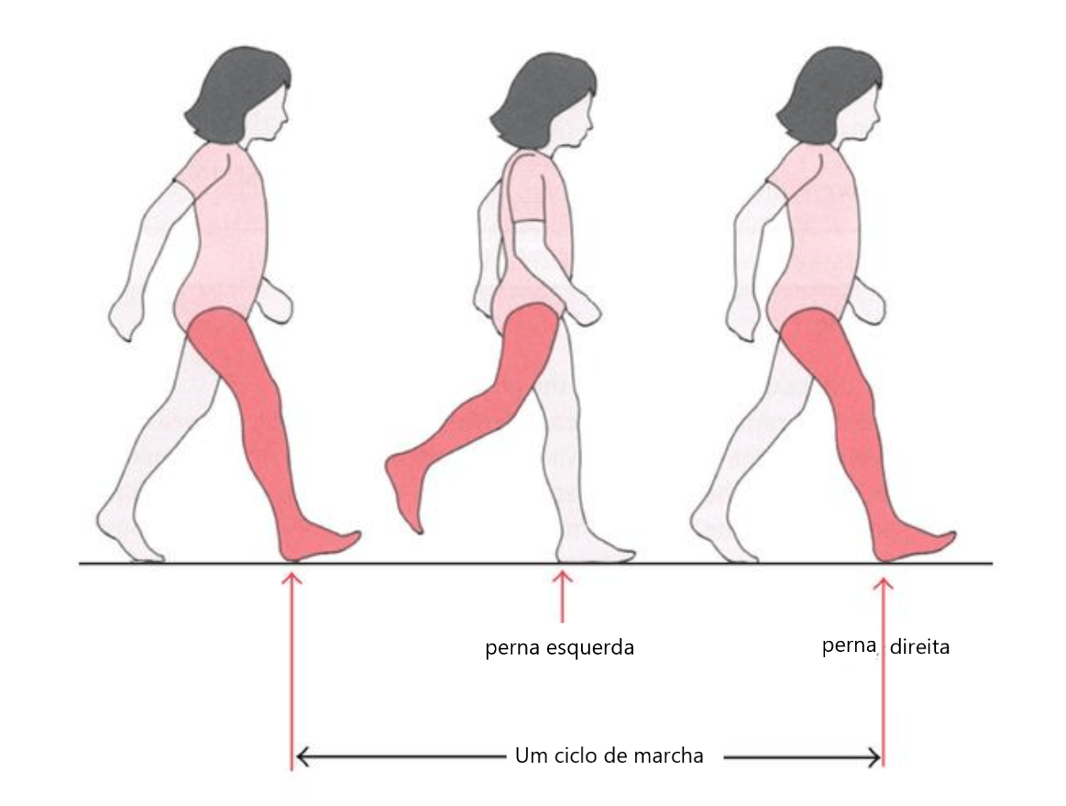 O caminhar do seu bebê: o que é a marcha? ~ Noeh